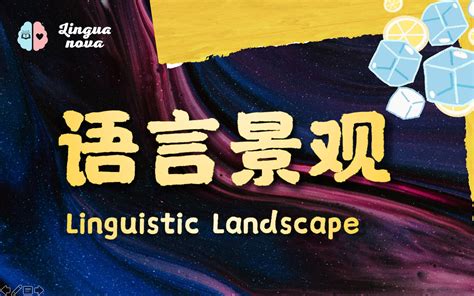 【语言学关键词】无处不在的语言景观 linguistic landscape linguanova linguanova 哔哩哔哩视频