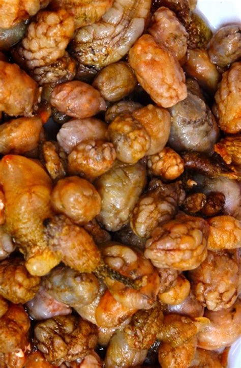 준호 꽃멍게 6 미더덕과 오만디 2 김준호 재피방 다른 나라에서는 일절 먹지 않고 우리나라에서만 먹는 지독한 고유 토종 식품들이 있다 독특한 맛과 향을 가진