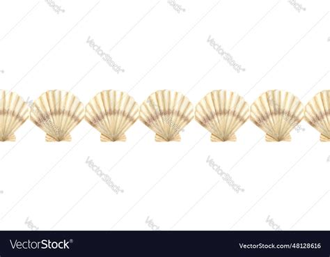 Seamless Border With Scallop Seashells Hand Drawn Vector Image