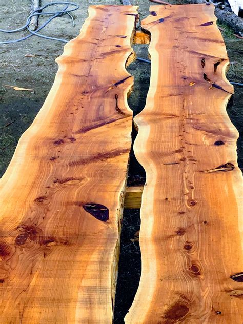 Juniper Table Top Grade Furniture Slabs 18to 20 Wide X 24 Long And