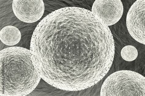 Chlamydia Trachomatis Microscopy Magnification 3d Illustration Stock