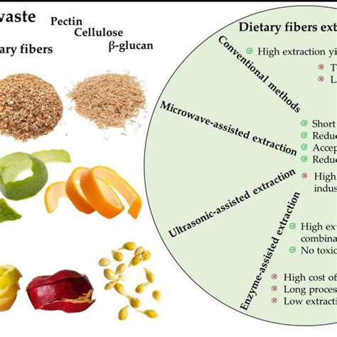 Conventional And Green Extraction Techniques Utilized For Extraction Of