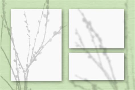 밝은 녹색 벽의 배경에 흰색 질감 종이의 여러 수평 및 수직 시트 자연광은 버드나무 가지에서 그림자를 투사합니다 플랫 레이 상단 보기 0명에 대한 스톡 벡터 아트 및 기타