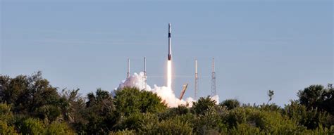 Gedi Mission Back To Map Forests In 3d Carbon Edition 🚀