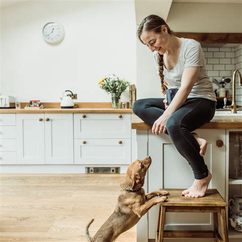 Why Decluttering Might Just Make Your Life Better Advertising Website