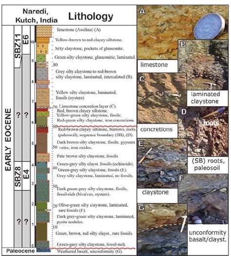 Lithostratigraphy Description Of Lithology And Photo Illustrations Of Download Scientific