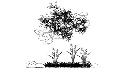 Grass And Stones Free Cad Drawings
