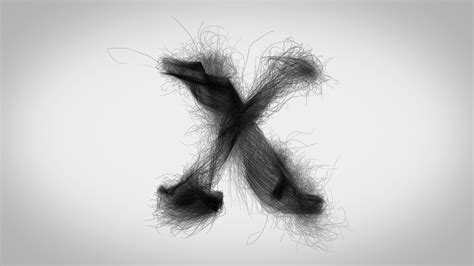 Sexy Hair Font Animated On Behance