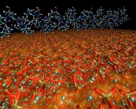 Atomic Structure Of Bone Deciphered For The First Time