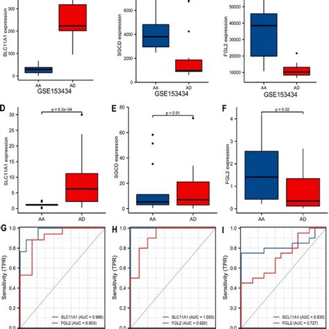 A Types Of Aortic Dissection According To The Stanford Classification Download Scientific