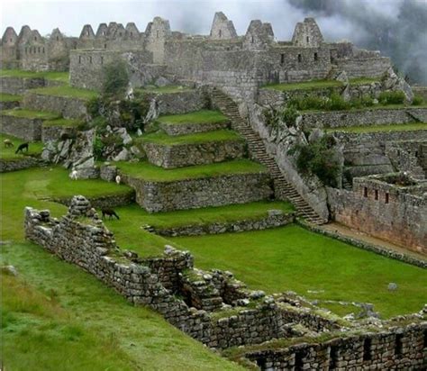 ბაბილონის დაკიდული ბაღები და Al Mahawil