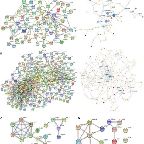 A Ppi Networks Of Disig Using String Db And Networkanalyst