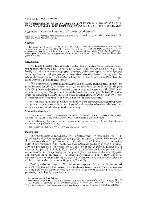 Pdf The Chromosomes Of An Australian Passalid Aulacocyclus Edentulus