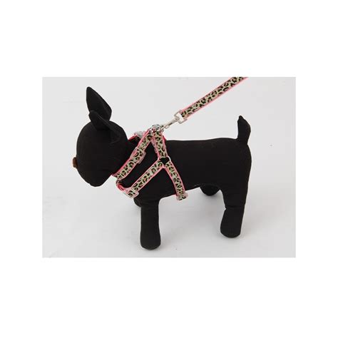 Postroj Vodítko Pro Psa Obojek Zdarma Tvujpejsek Cz