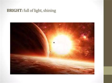 Unit 7 Colorful Chameleons Pptx