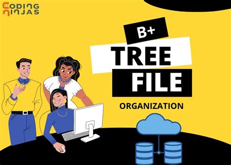 B Tree File Organization Naukri Code 360