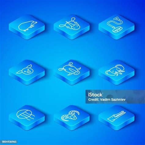 세트 라인 해파리 멧돼지 머리 염소 또는 숫양의 머리 코끼리 이름표가 달린 목걸이 돼지 고슴도치 악어 아이콘 벡터 3차원 형태에 대한 스톡 벡터 아트 및 기타 이미지