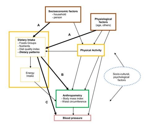 Conceptual Framework For Analysis Of Associations Between Dietary Download Scientific Diagram