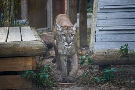 Ucf Restores Unveils First Of Its Kind Resiliency Command Center To