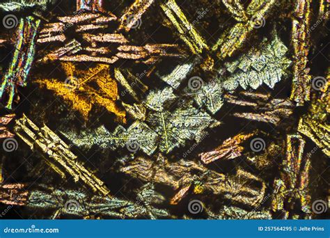 Cross Section Of Gabbro Photographed Through The Microscope In Polarized Light Stock Image