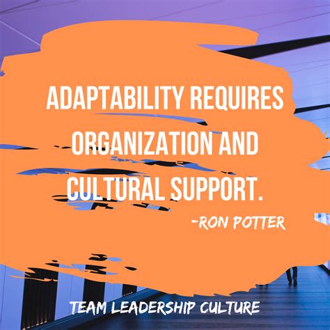 Culture Adaptability Team Leadership Culture