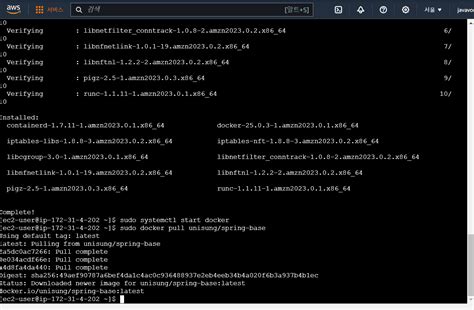 7 Ec2에 배포 Ec2에 도커이미지 배포springboot