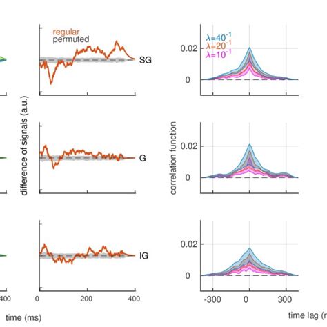 Activity In The Superficial Layer Of The Cortex Is The Most Download Scientific Diagram