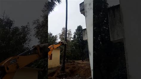 Tad Ka Tree Ko Katne Youtube