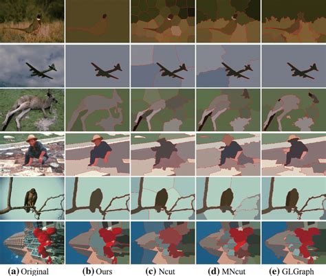Visual Segmentation Results Given By Various Algorithms Download