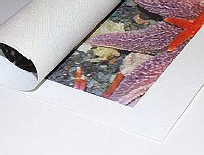 Rolled Canvas Canvas Prints Our Products CanvasCanada Ca Custom Made Every Time