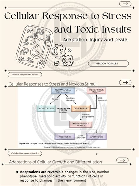 Histopathology General Concept Part 2 Pdf Necrosis Apoptosis
