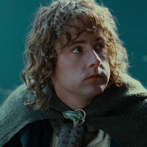 Pippin Took Icon ♡ The Hobbit Merry And Pippin Lord Of The Rings