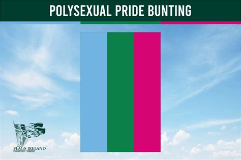 Polysexual Pride Flag Bunting Flags Ireland Prospect Design