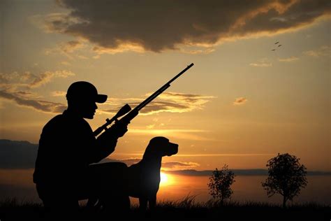 Trois Types De Chasse En France Geo Fct