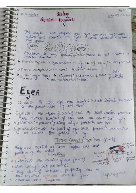 Icse Class 10th Biology Chapter Sense Organs Complete Topper Notes Biology Stuvia Us