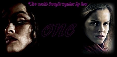 Bellatrix And Hermione Bellatrix And Hermione Fan Art Fanpop