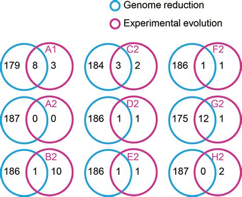 Figures And Data In Experimental Evolution For The Recovery Of Growth Loss Due To Genome