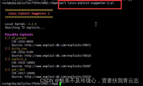 Linux内核漏洞提权linux Exploit Suggester2 Csdn博客