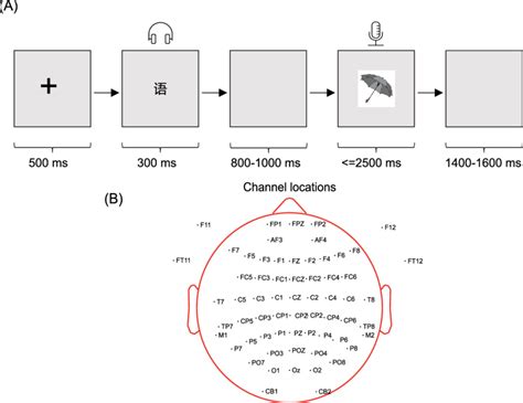 A Illustration Of The Experimental Procedure In One Trial And B Eeg