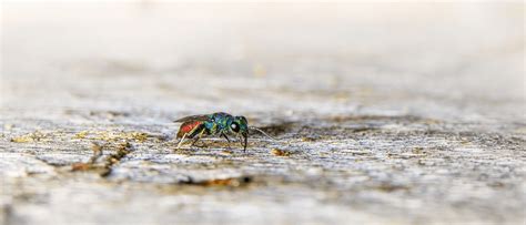 人工智能 生成式模型与辨别式模型 Deephub Segmentfault 思否