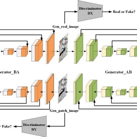 Original CycleGAN Model Download Scientific Diagram