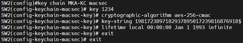 Cisco Macsec Switch To Switch Configuration Using Pre Shared Key On Ios