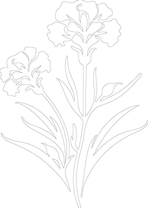 ai generated dianthus outline silhouette 40542070 vector art at vecteezy
