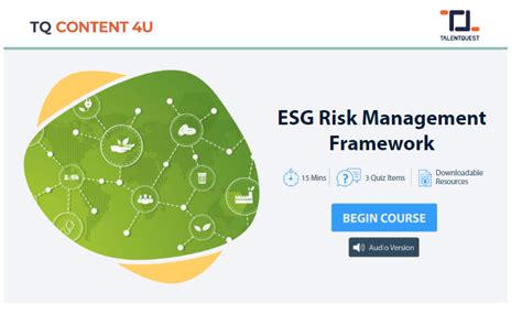 Esg Risk Management Framework Catálogo