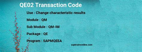 QE SAP Tcode For Change Characteristic Results