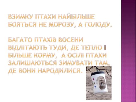 Творчий проєкт Годівничка