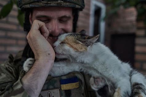 Andrii Maliuta Posted On Linkedin