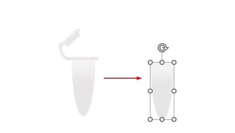 科研绘图 Ppt搞定小型离心管的绘制! 知乎 科研绘图 Ppt搞定小型离心管的绘制! 知乎