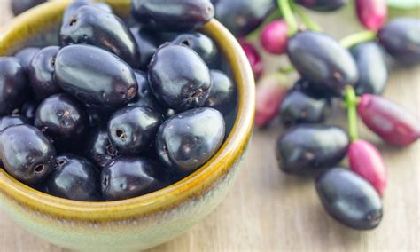 34 Facts About Java Plum