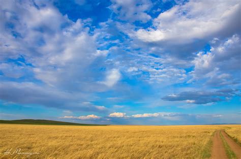 Дорнод аймаг Хөлөнбуйр сум Тосонхулстайн байгалийн нөөц га… Flickr